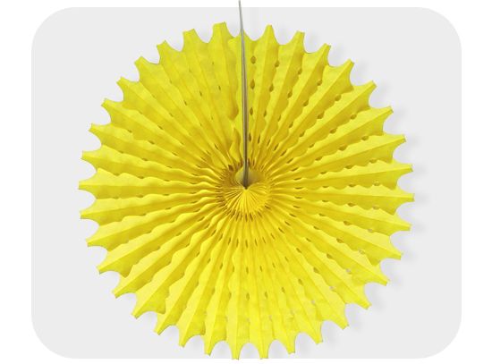 East Tern. Tight-tight wall decorsation tissue paper fan